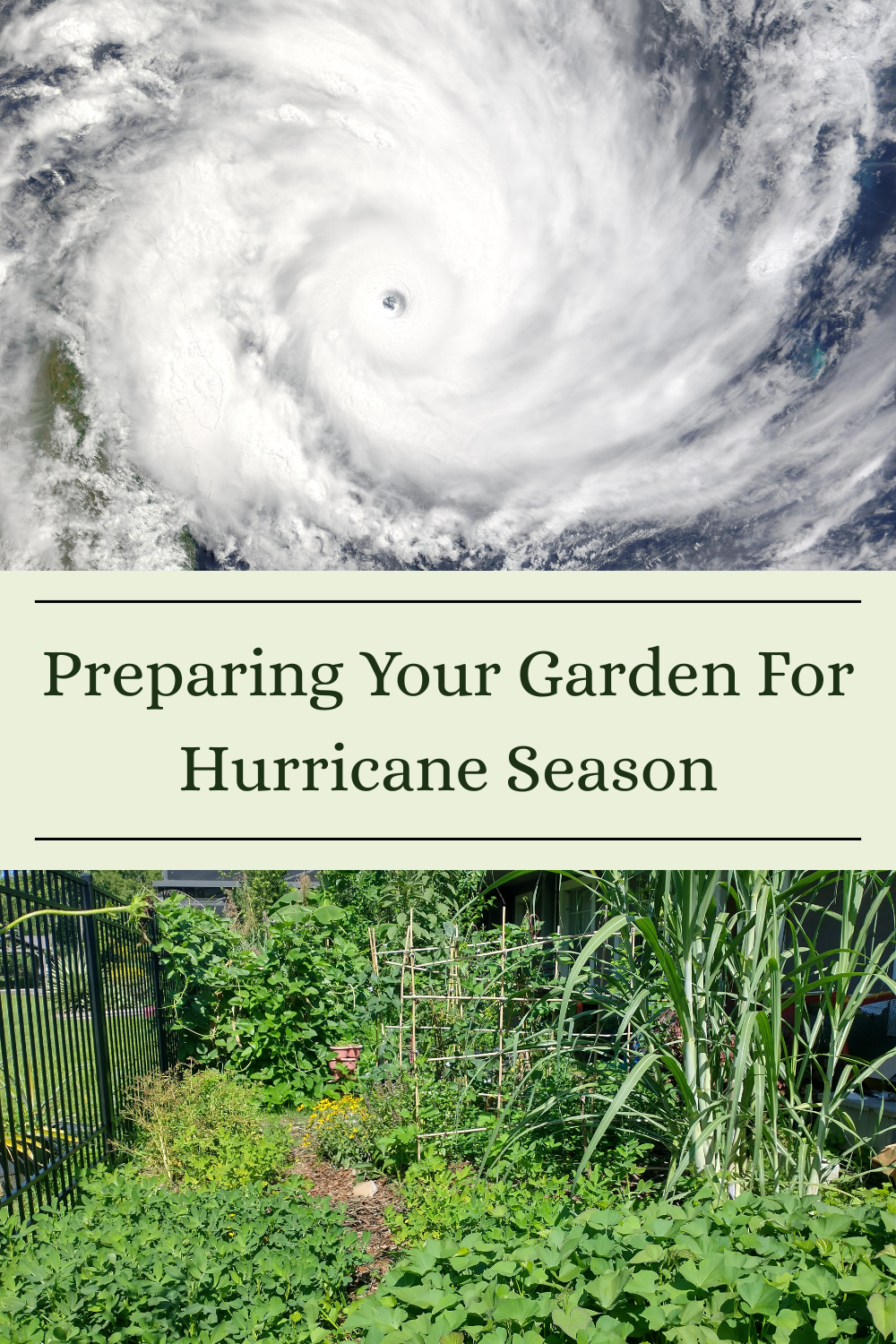 How To Prepare Your Garden For Hurricane Season - Homemade On Purpose